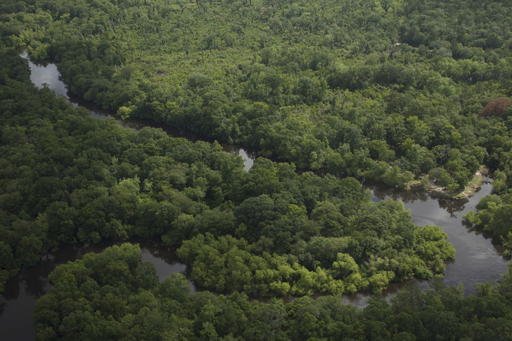 The American South – AINT—BAD