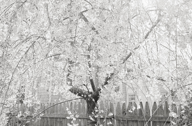 CJ Heyliger – AINT—BAD