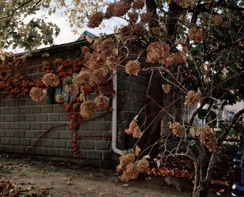 Chelsea Welsh – AINT—BAD