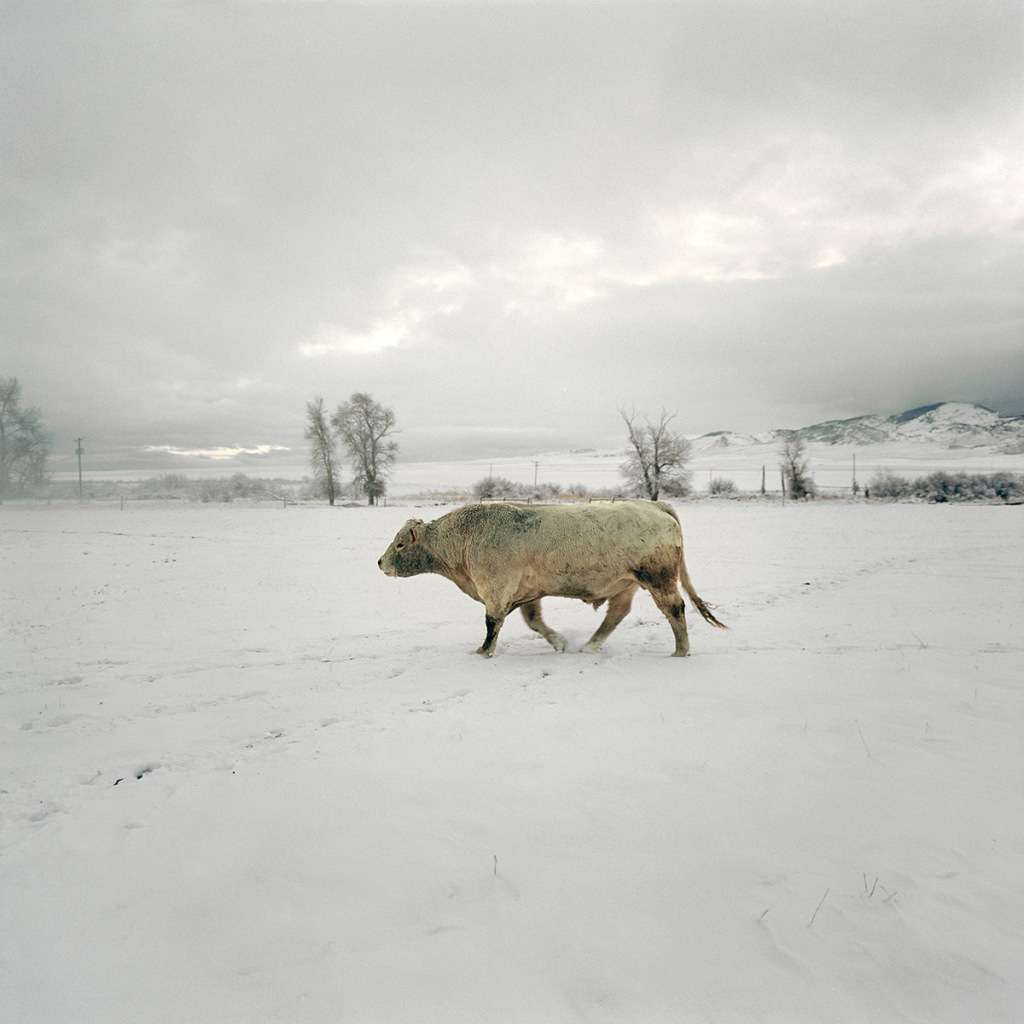 Peter Bryne – AINT—BAD