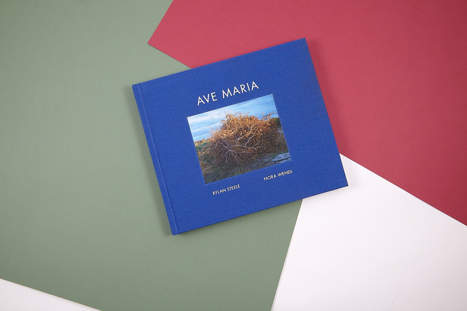 Rylan Steele and Nora Wendl : Ave Maria – AINT—BAD