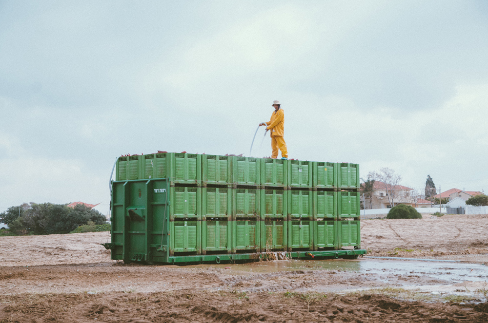 Yuli Gorodinsky – AINT—BAD