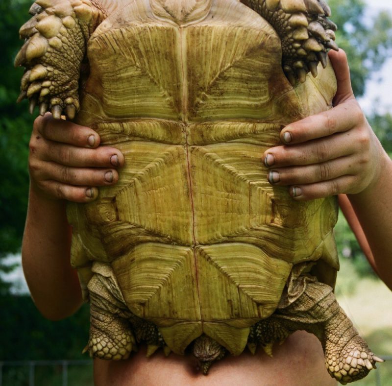 Melanie Metz – AINT—BAD