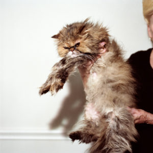 Rachel Cox – AINT—BAD