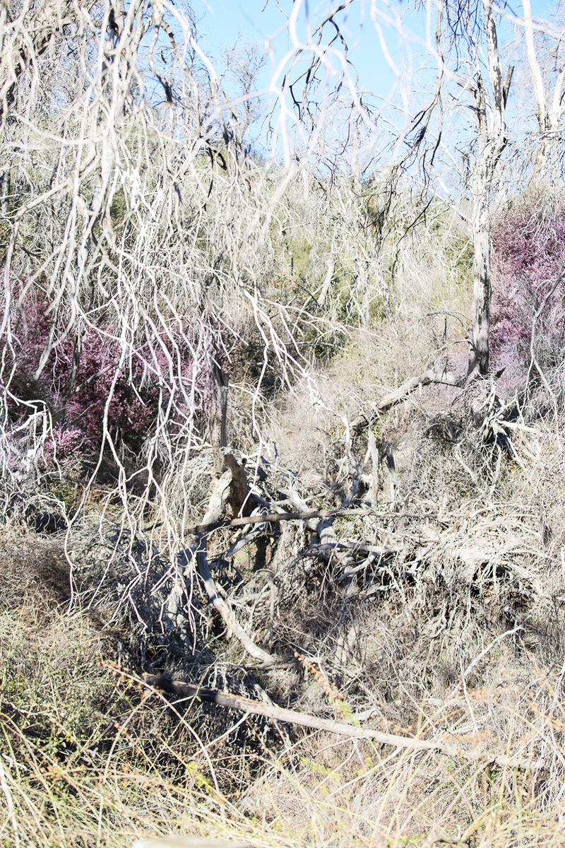 Delaney Allen – AINT—BAD