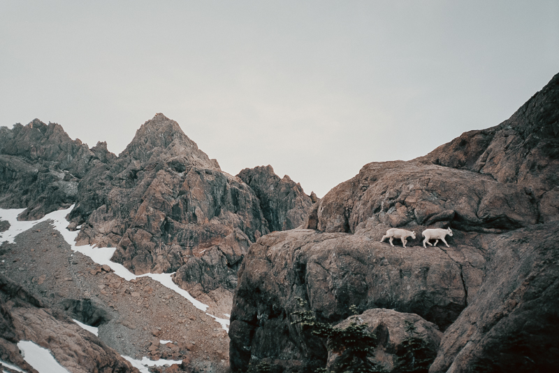 Cody Cobb – AINT—BAD