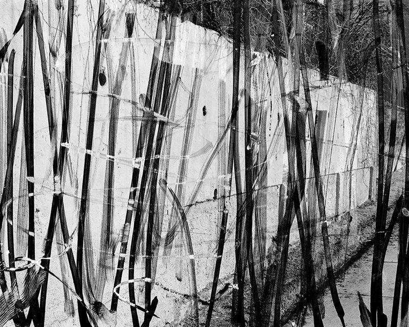 Daniel McCullough – AINT—BAD