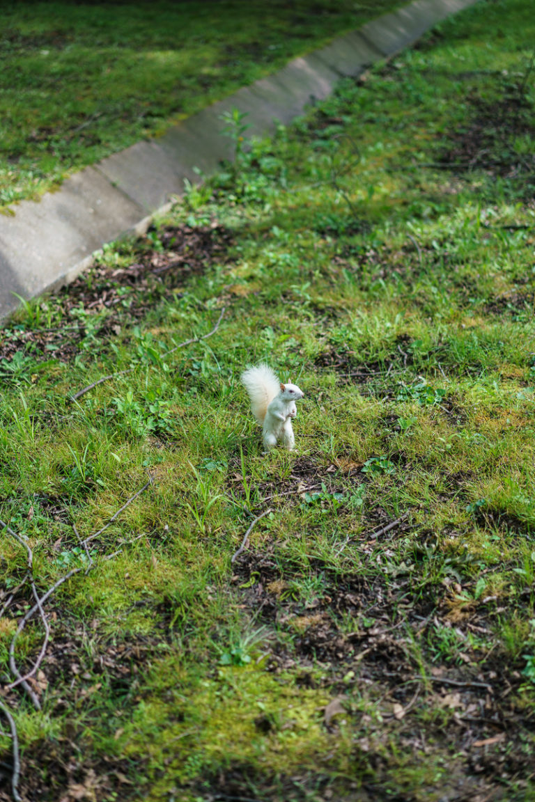 Nate Larson – AINT—BAD