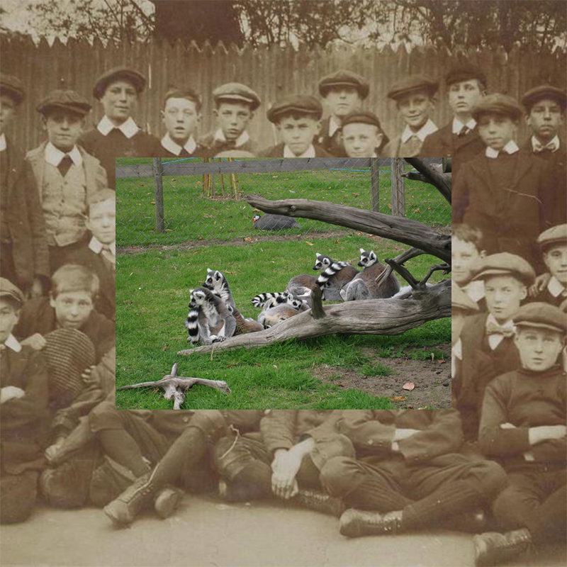 Keaton Fox – AINT—BAD