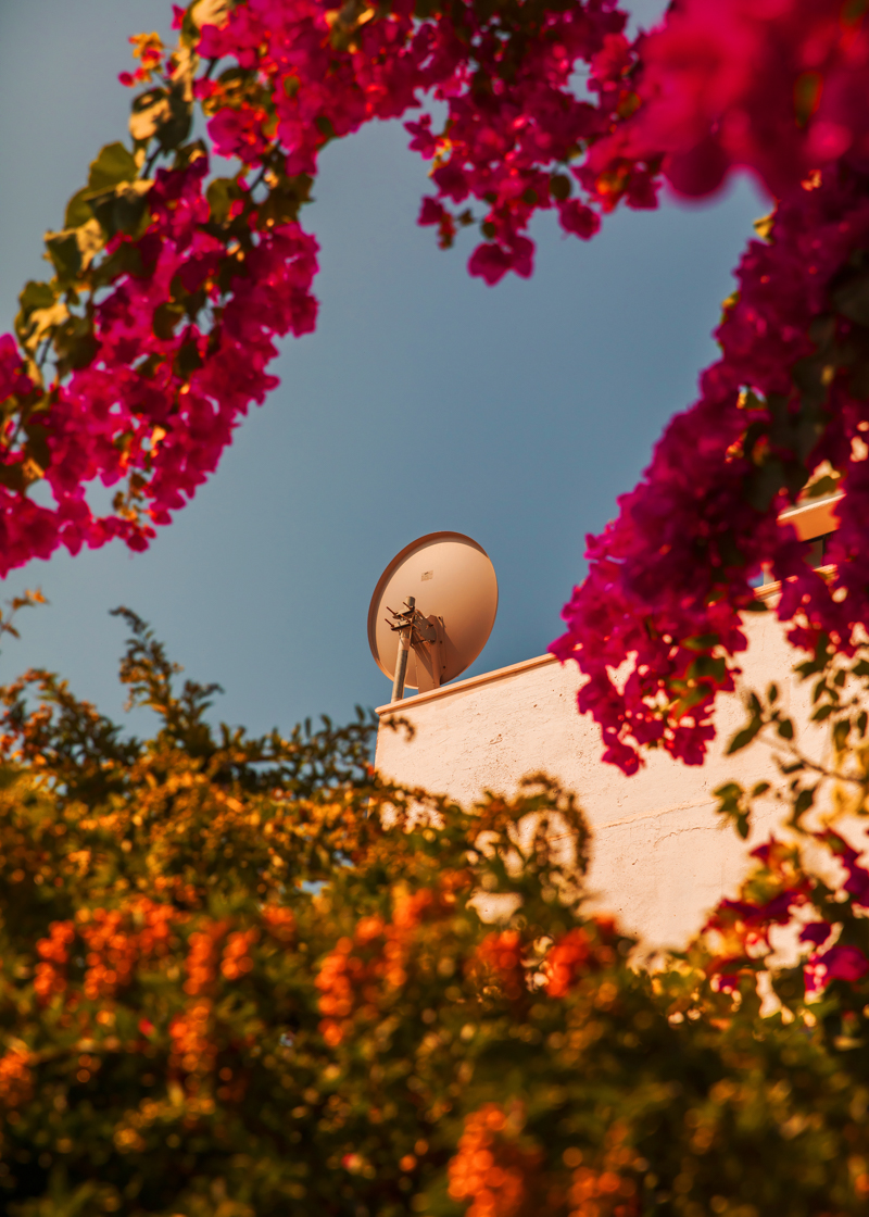 Interview: Levi Mandel – AINT—BAD