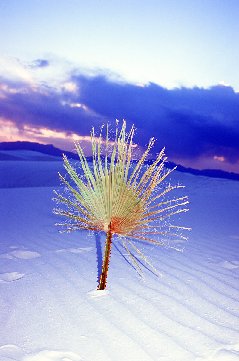 Christian Michael Filardo – AINT—BAD