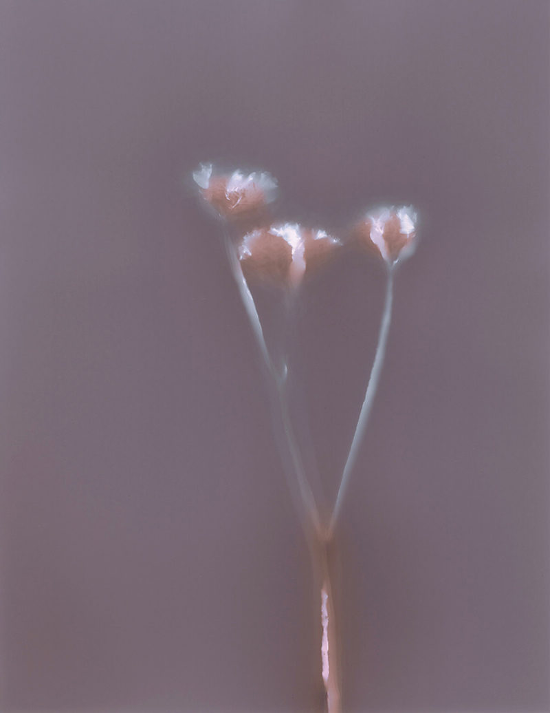 In Conversation: Jennifer Bacon – AINT—BAD