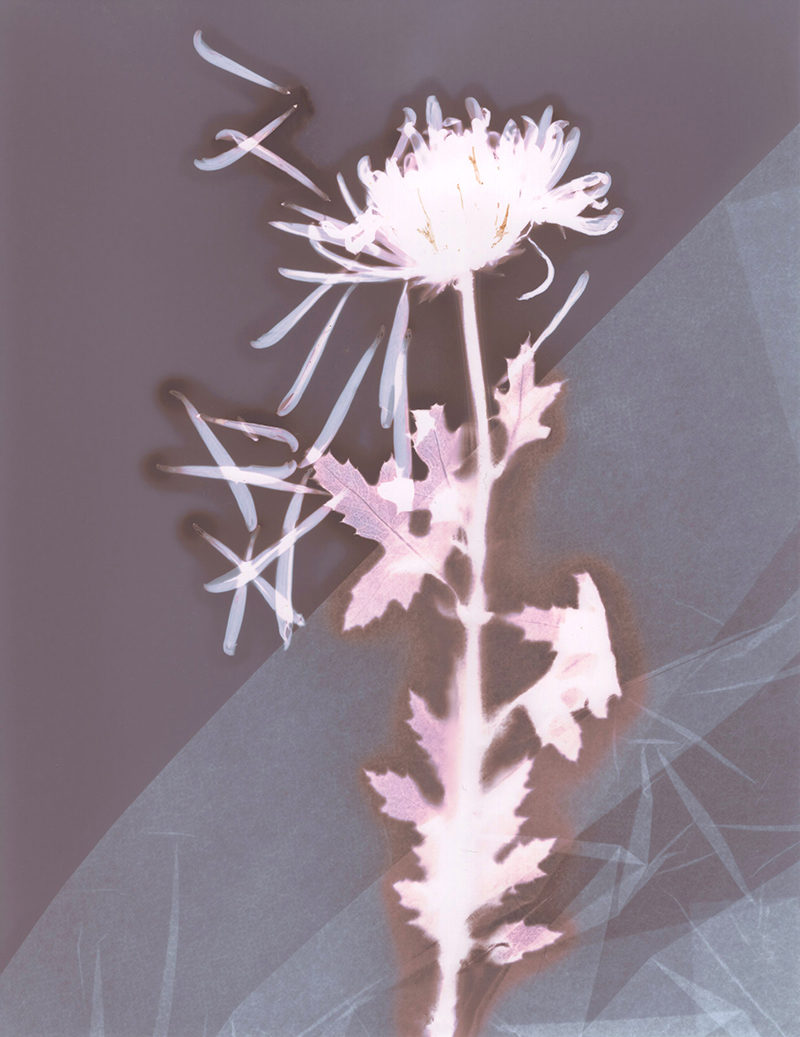 In Conversation: Jennifer Bacon – AINT—BAD