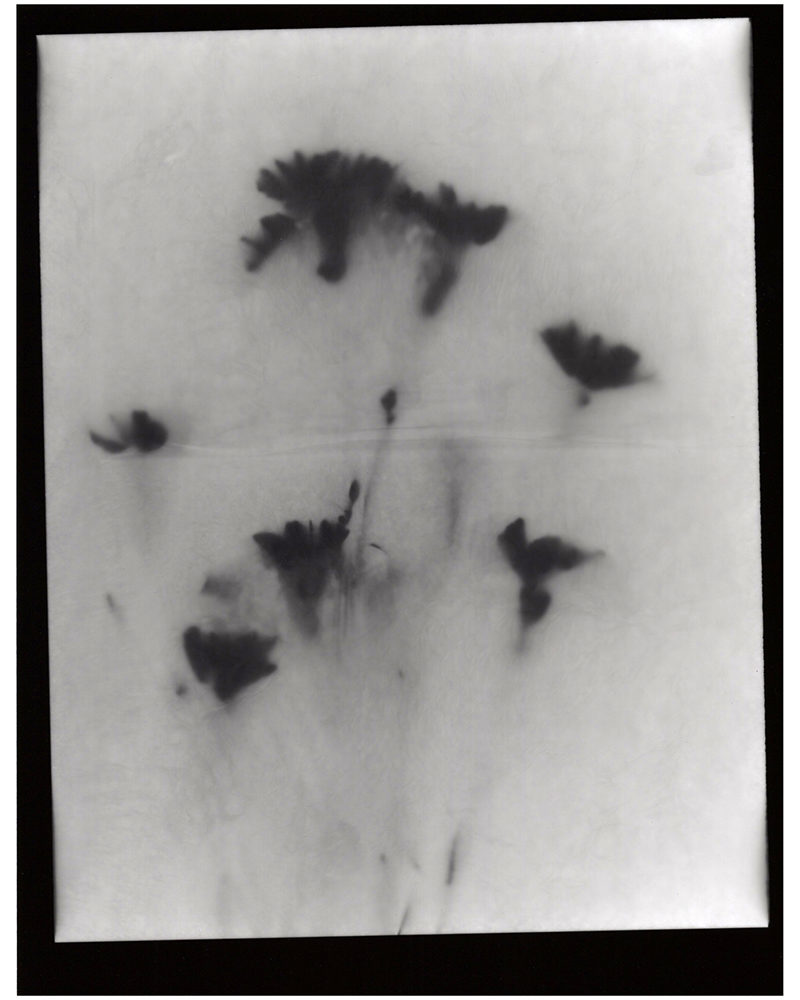 In Conversation: Jennifer Bacon – AINT—BAD