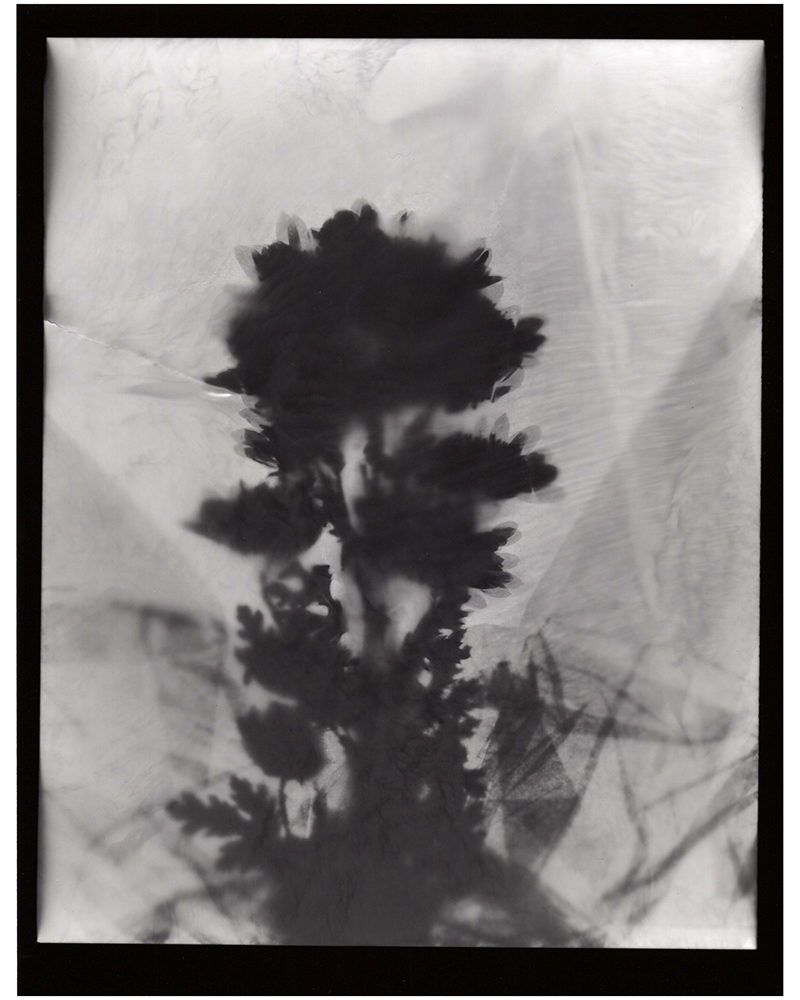 In Conversation: Jennifer Bacon – AINT—BAD