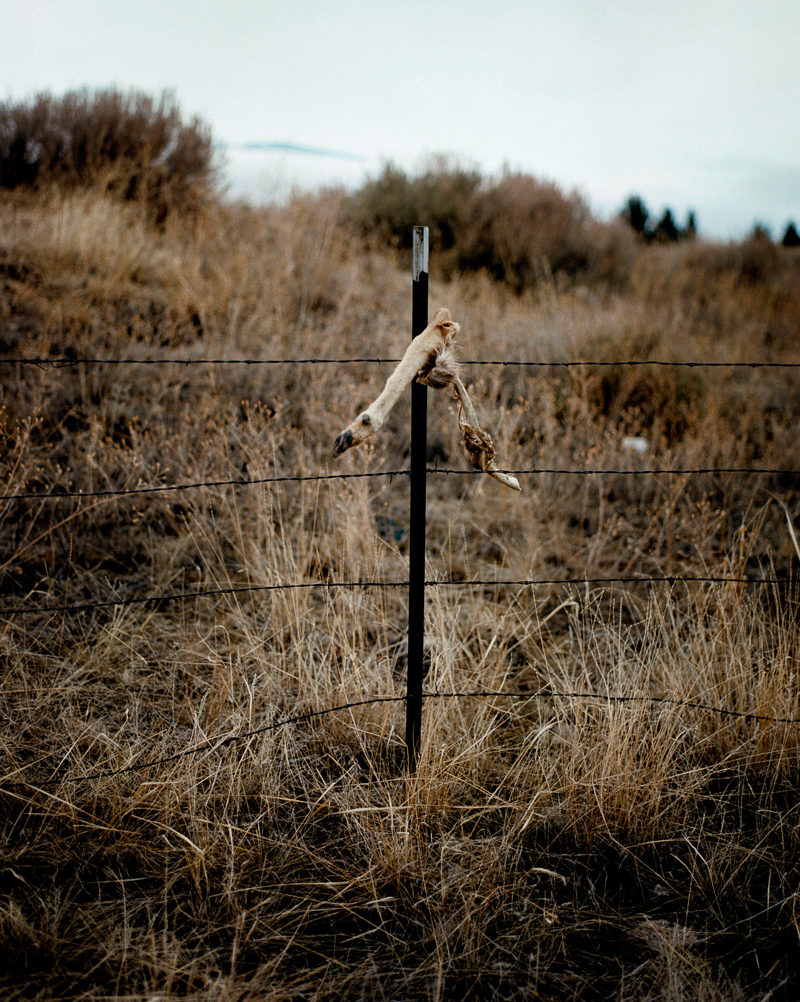 Jeffrey Robins – AINT—BAD