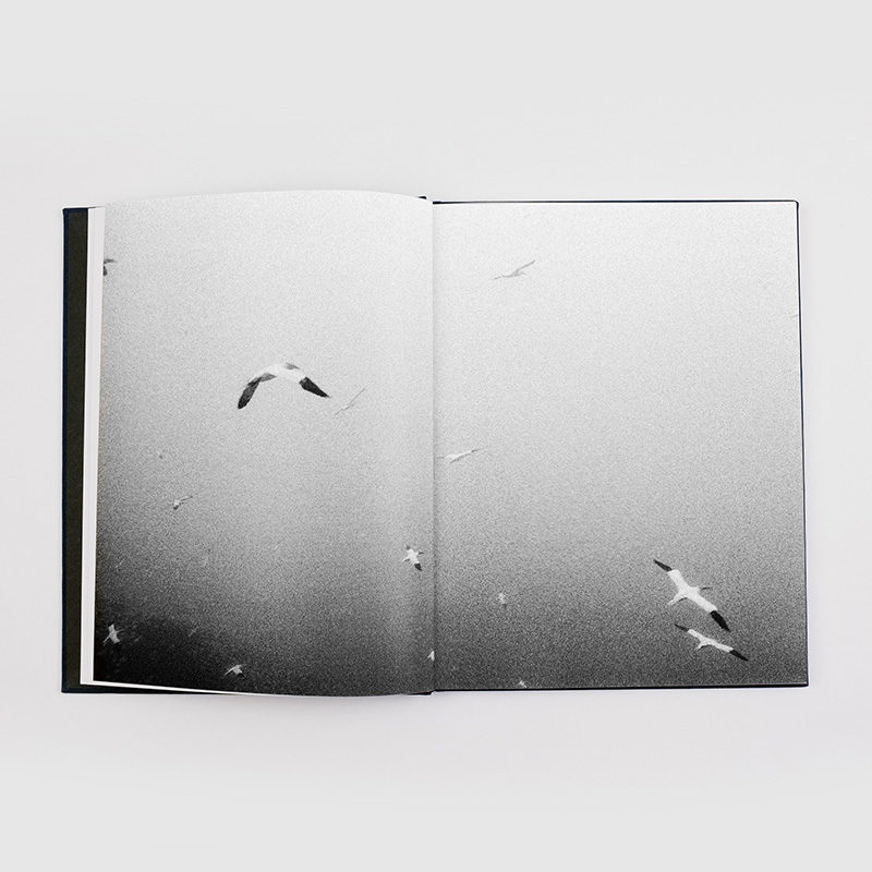 jonathan levitt – AINT—BAD