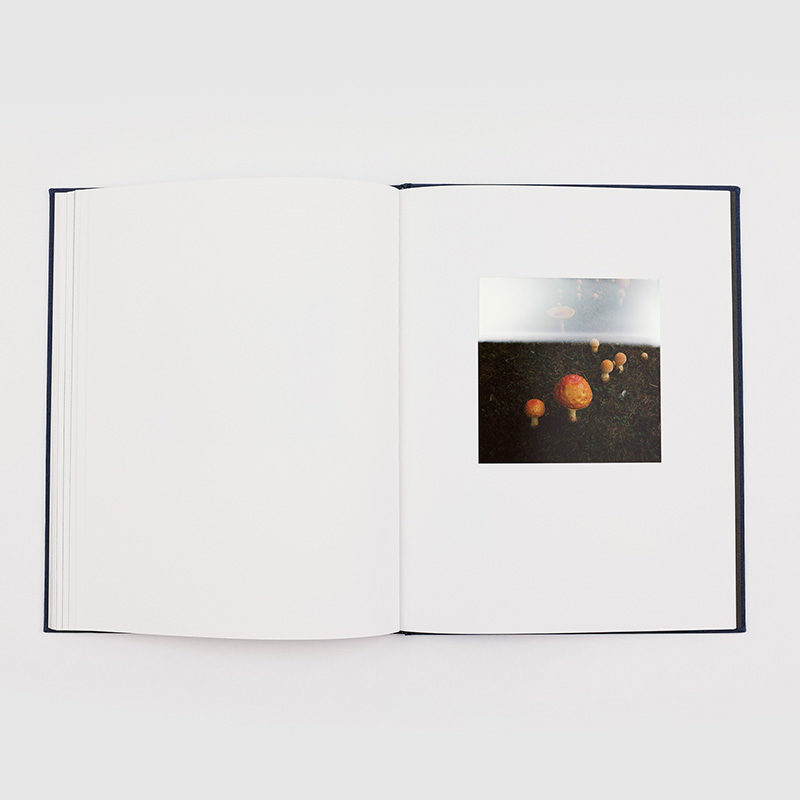 jonathan levitt – AINT—BAD