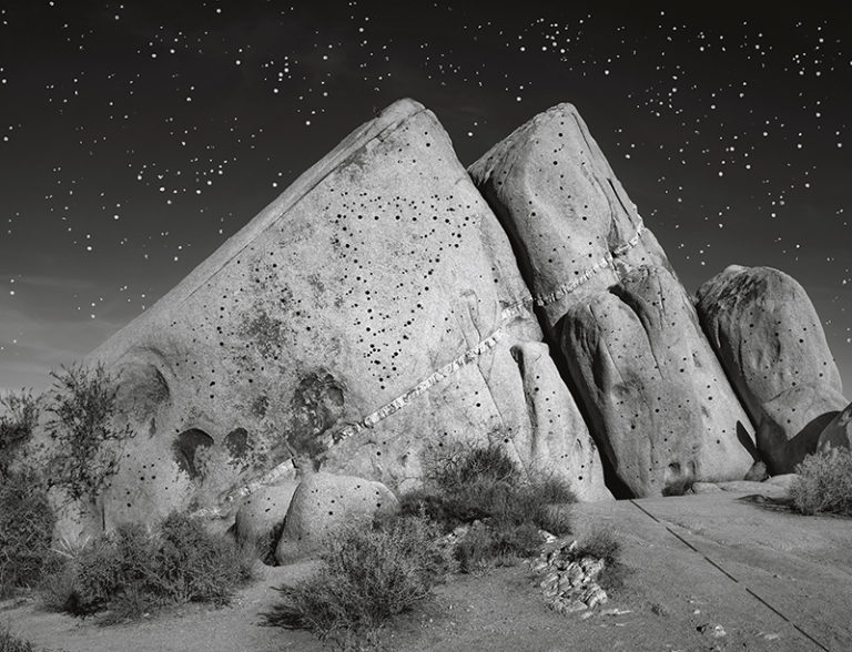 Robert Sulkin – AINT—BAD