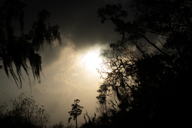 Diane Hemingway – AINT—BAD