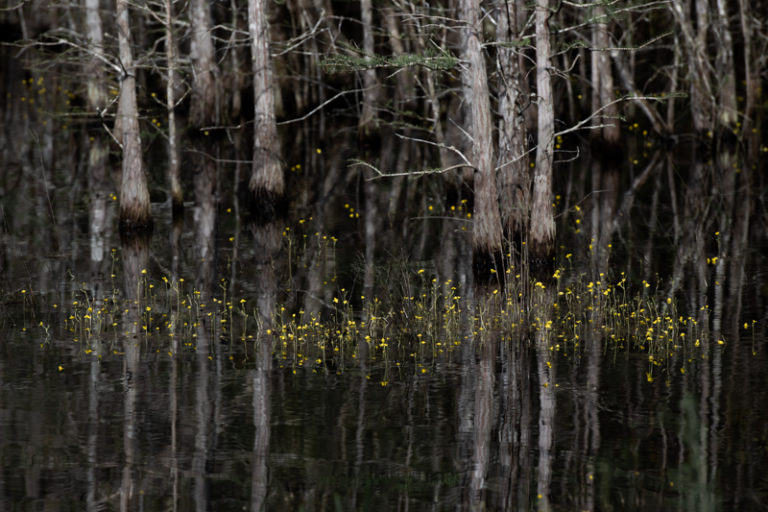 Diane Hemingway – AINT—BAD