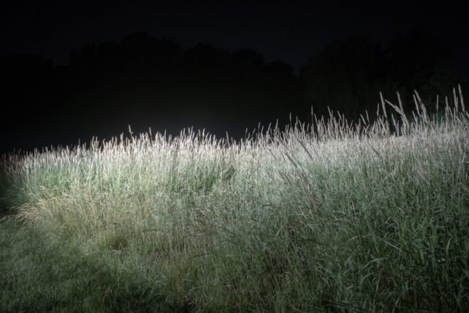 Diane Hemingway – AINT—BAD