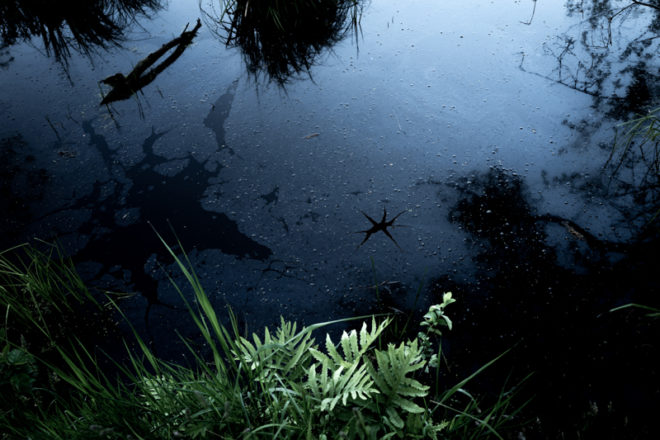 Diane Hemingway – AINT—BAD