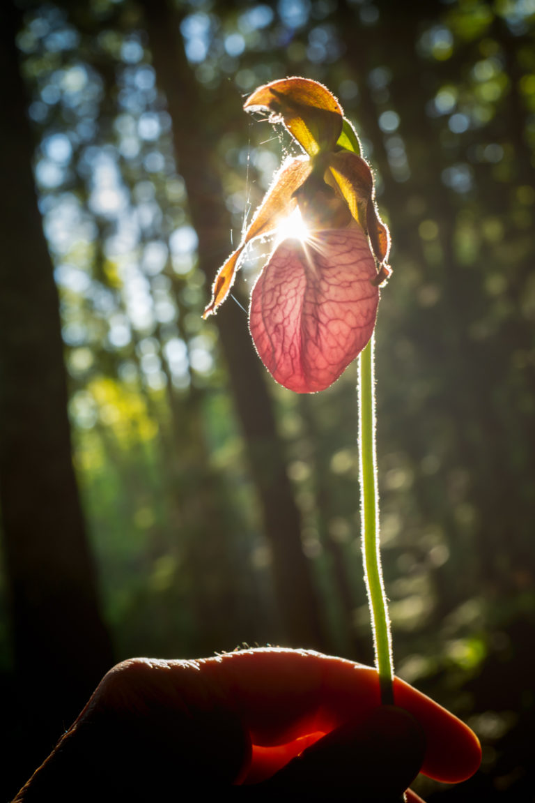 Diane Hemingway – AINT—BAD