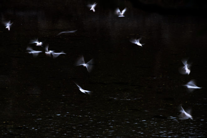 Diane Hemingway – AINT—BAD