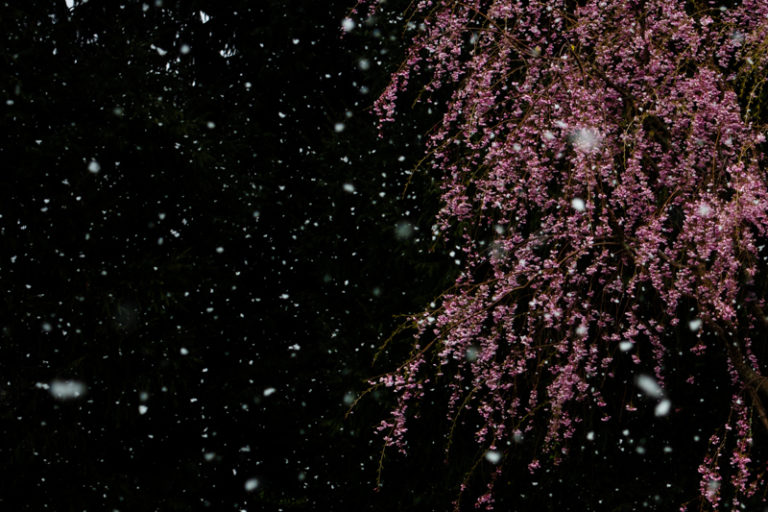 Diane Hemingway – AINT—BAD